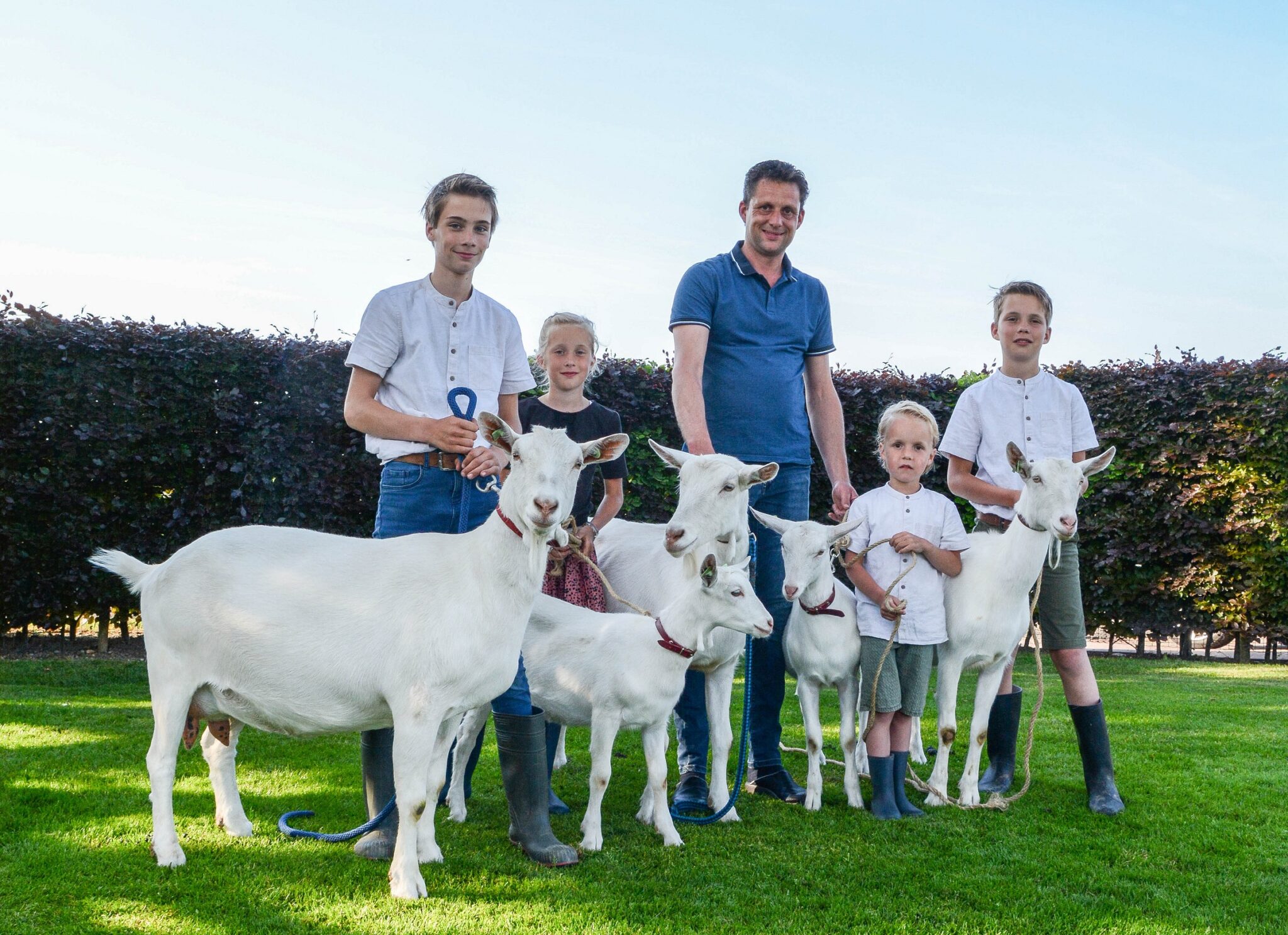 Mooie uitstraling – Geitenhouderij