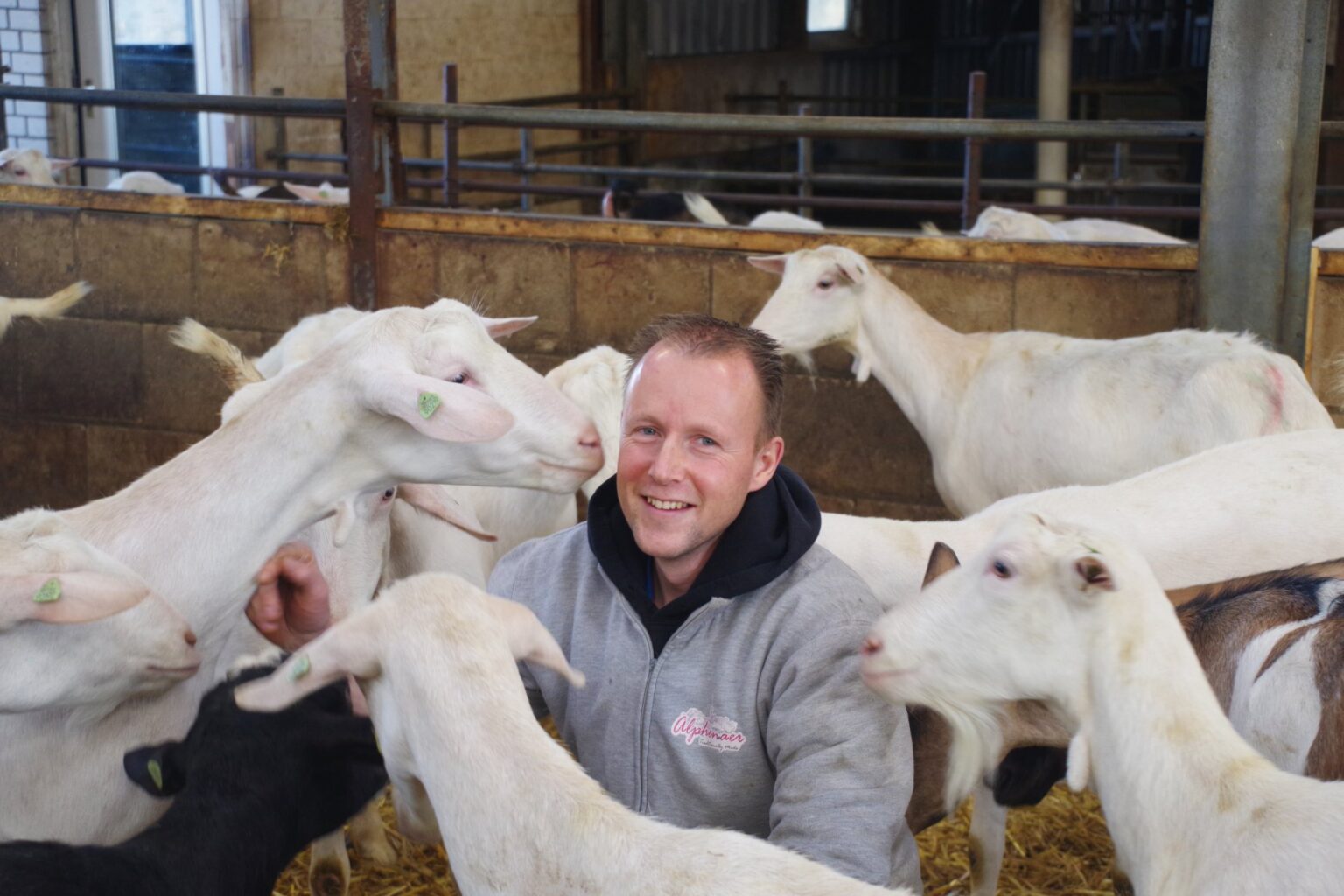 Ziekteverwekkers bij geiten – Indringers in en rondom de geit ...