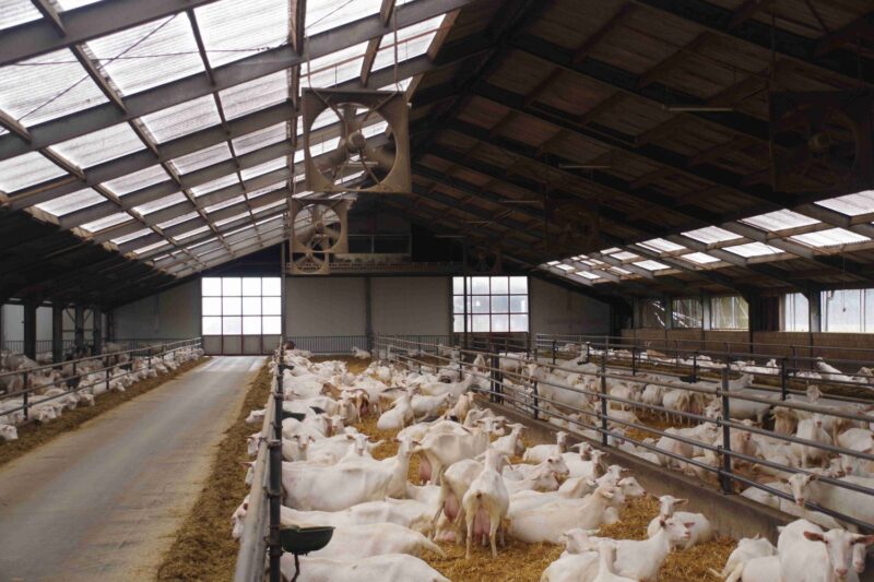 Vanaf 1 juli 2024 noodaggregaat verplicht voor mechanisch geventileerde ...