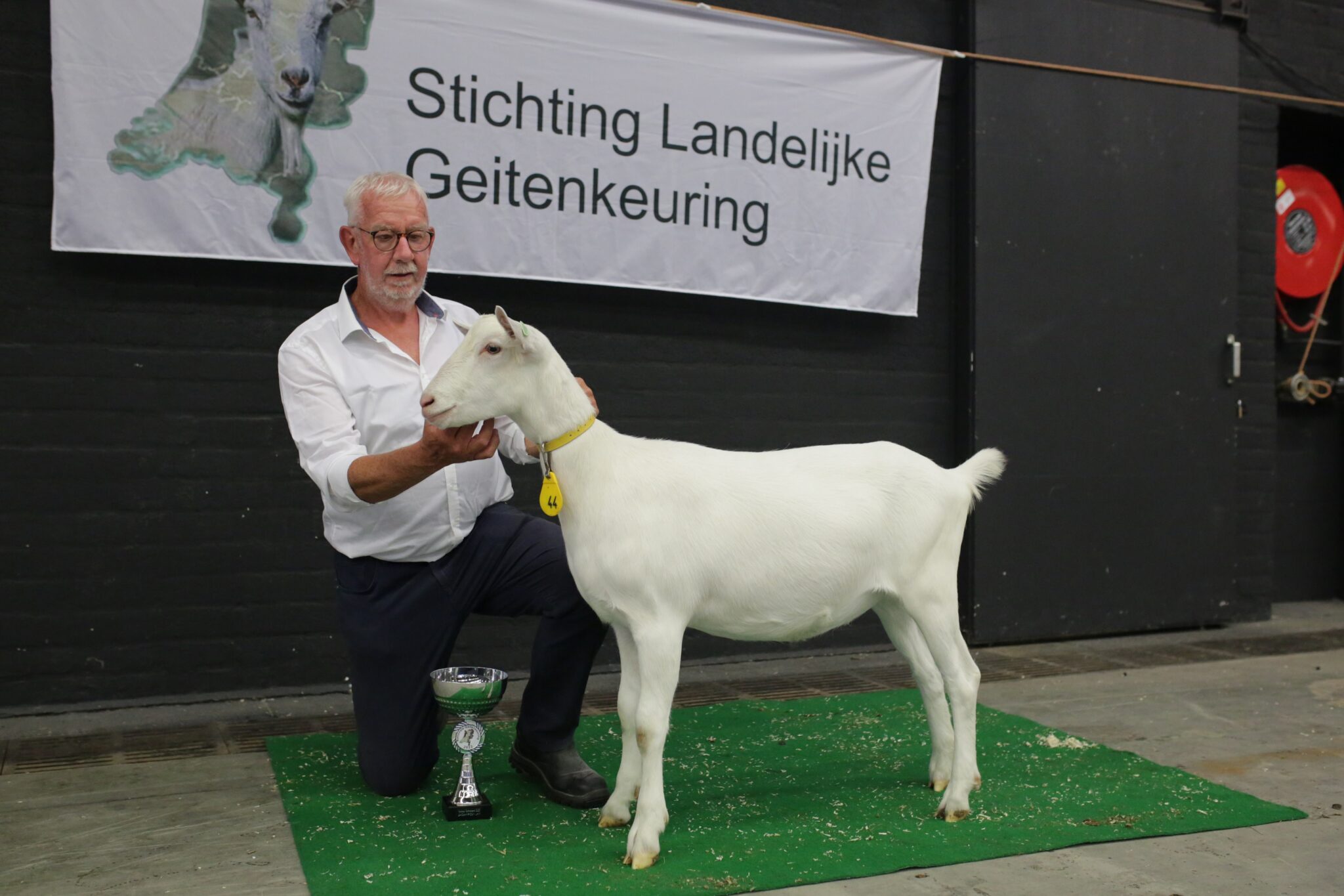 Nationale keuring: Bregje 25 is ‘mooiste van het land’ én heeft beste ...