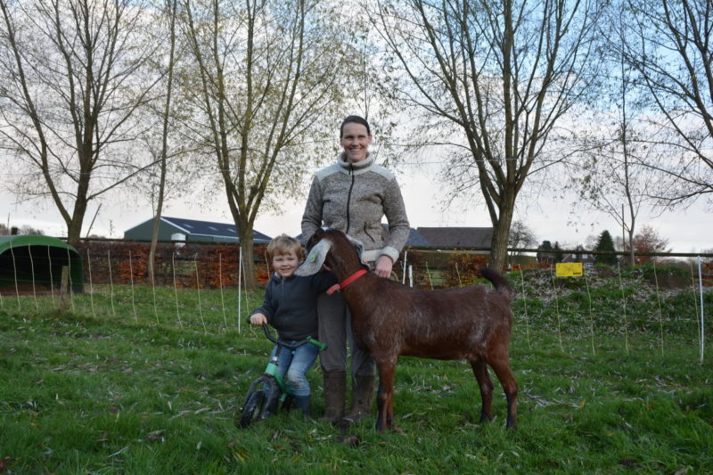 De Nubische van Shirley Wever-Roosen – Geitenhouderij