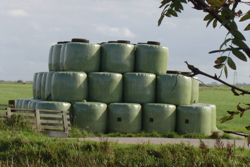 Help moeilijk verteerbare kuilen een handje – Geitenhouderij